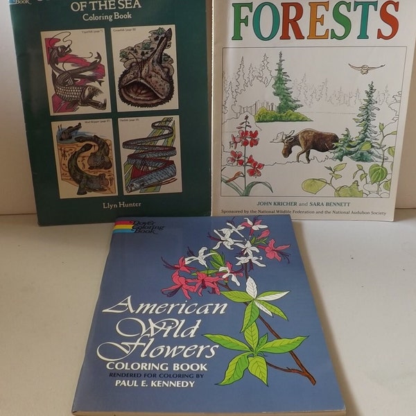 Dover Coloring Book - Etsy