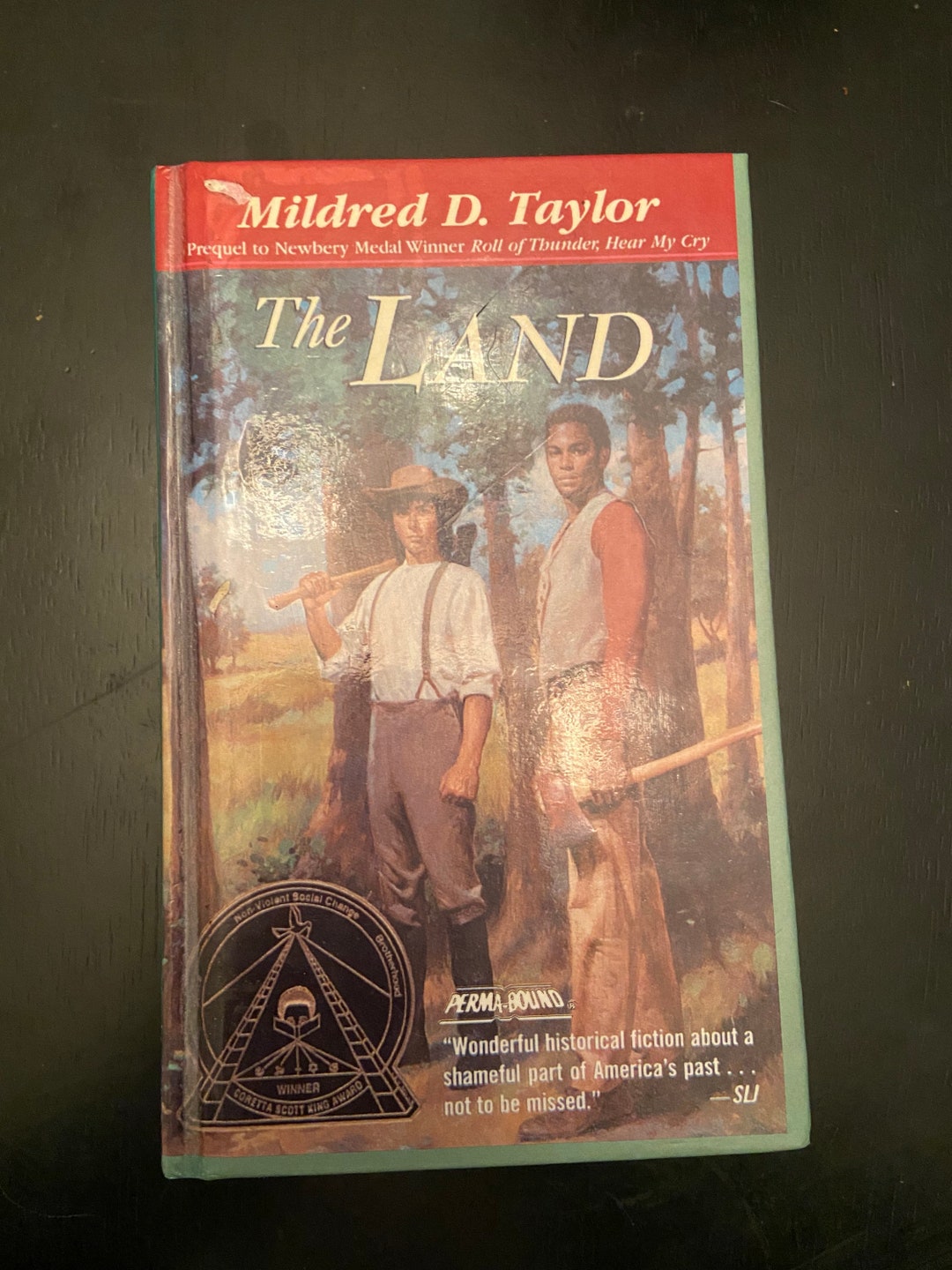 The Land (logan’s Book 1) by Mildred D. Taylor - Etsy