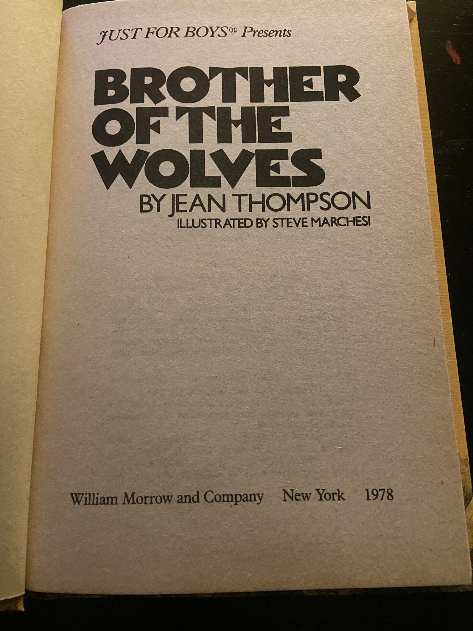 Brother of the Wolves by Jean Thompson Hardback Book - Etsy
