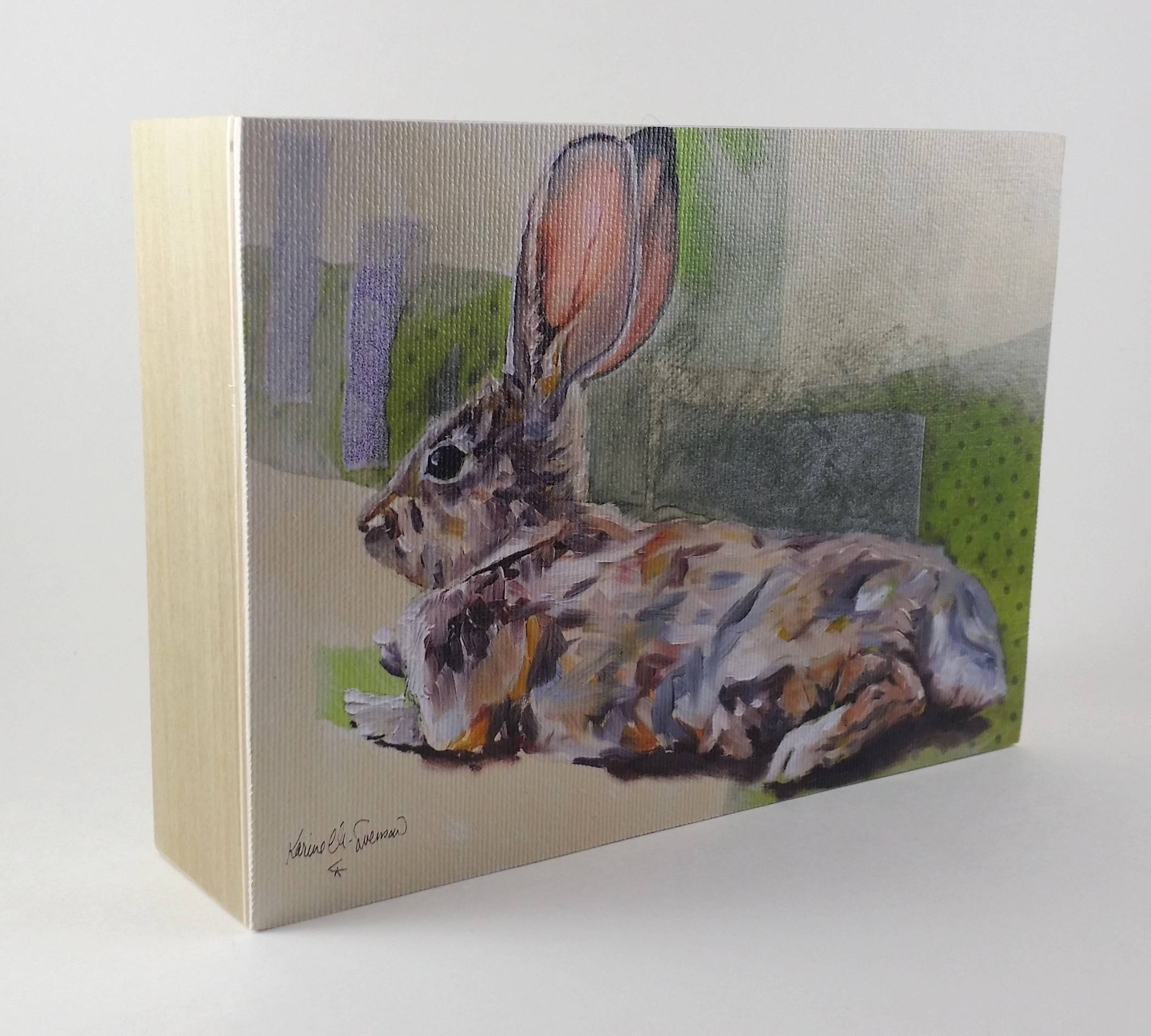 Cottontail rabbit At Rest a reproduction from an original - Etsy 日本