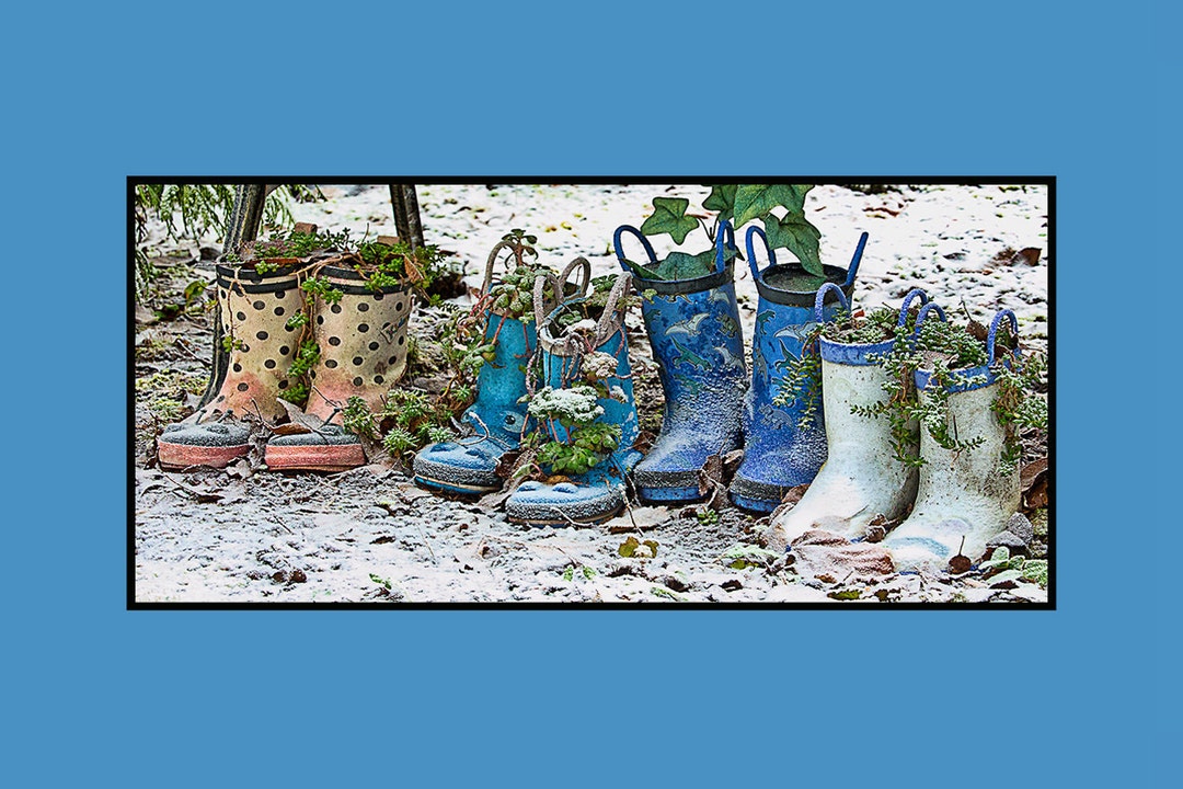 Digital Print, Rubber Boots, Boot Planters, This Print is the Perfect ...