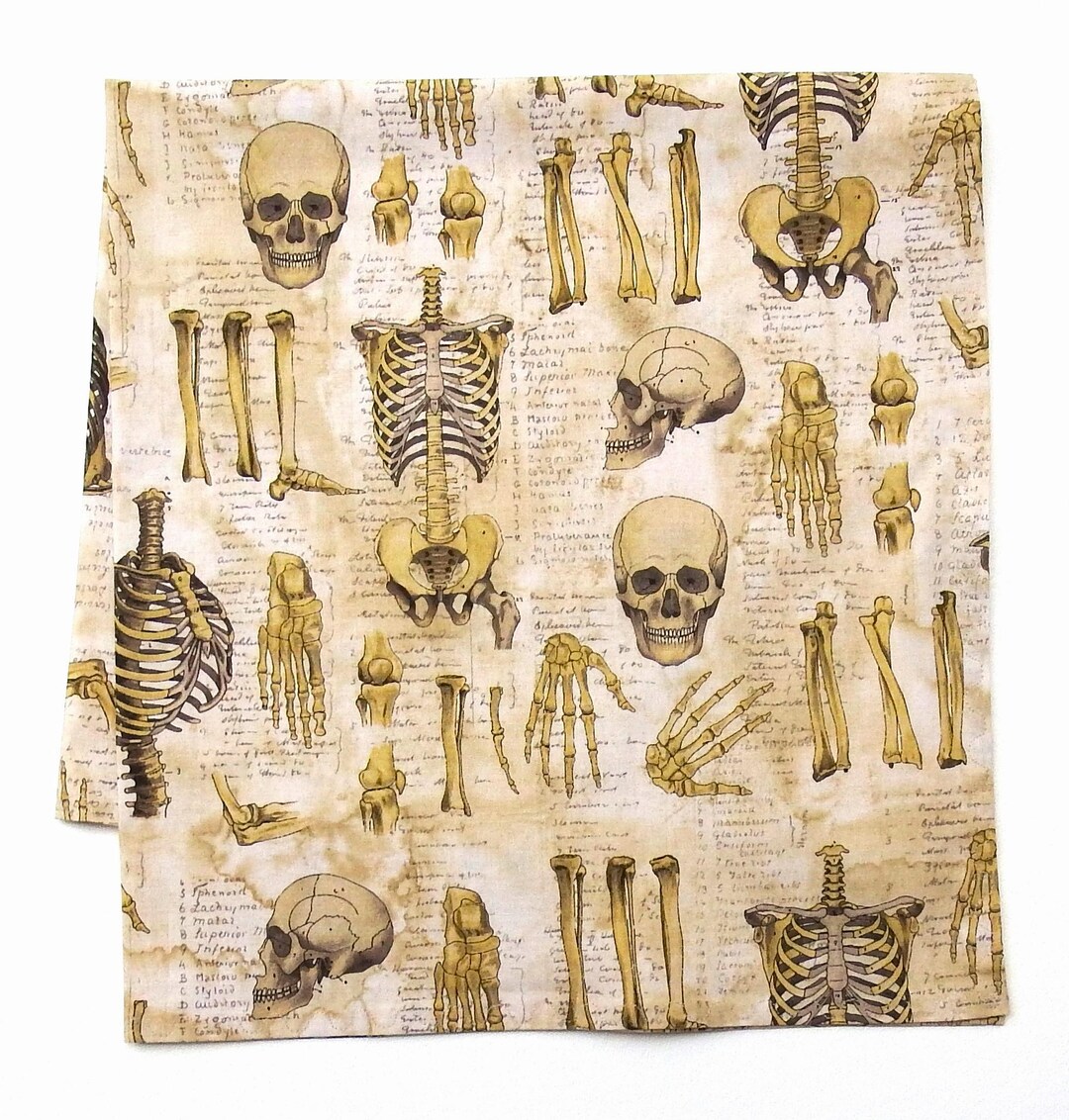 Skeleton Bandana, Osteology, Skulls, Bones, Tim Holtz Fabric, Chef ...