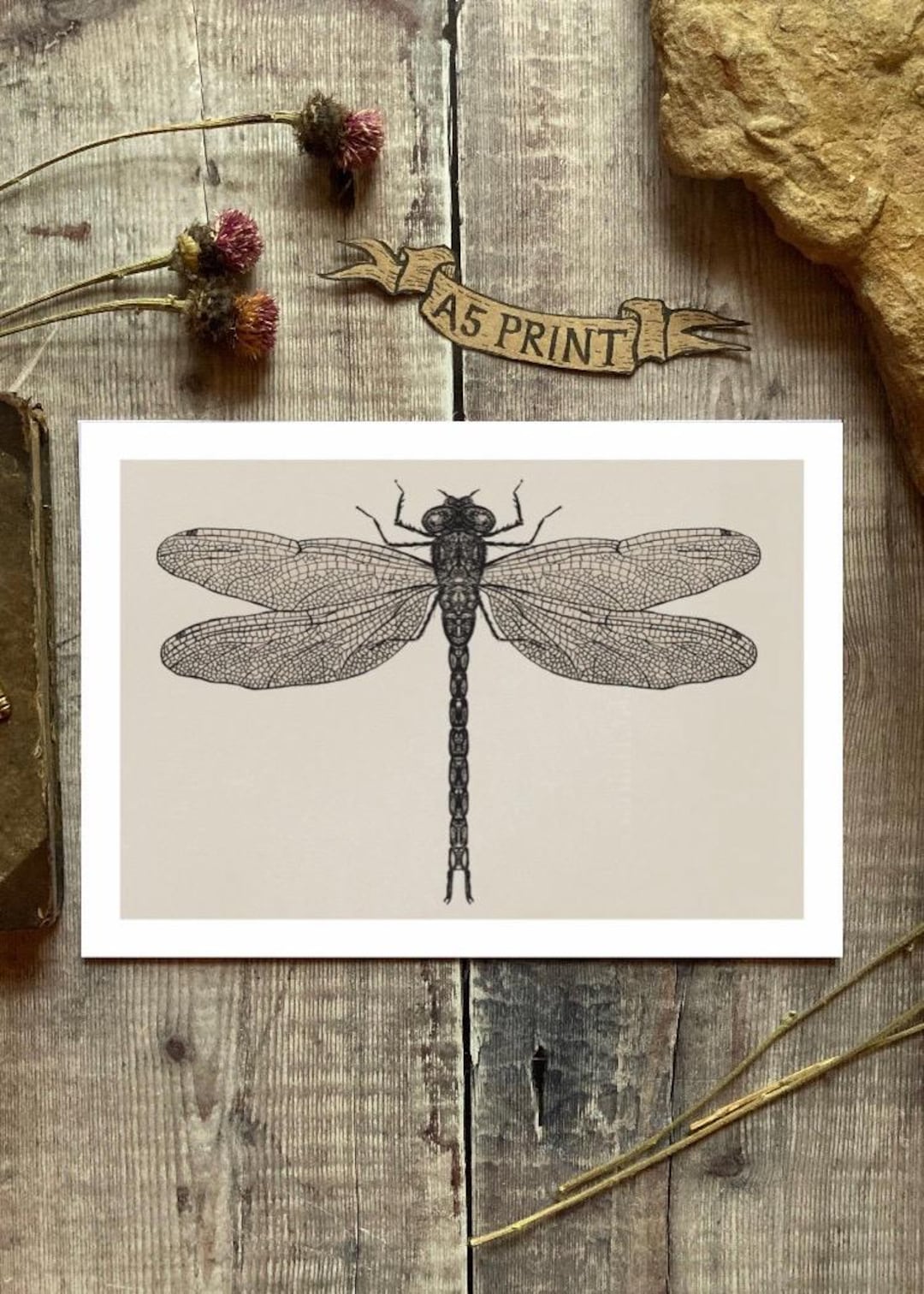 ART PRINT, Dragonfly Art Print, Outlander Home Decor, Outlander Fan Art ...