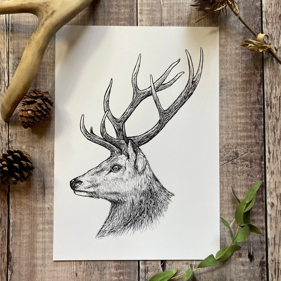 ART PRINT STAG, Scottish Stag Art, Scotland Gift, Scotland Wall Art ...
