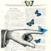 Pointing Hand Sign With Blue Butterfly Wall Decor Dictionary - Etsy