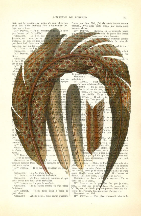 Pheasant Feather Art