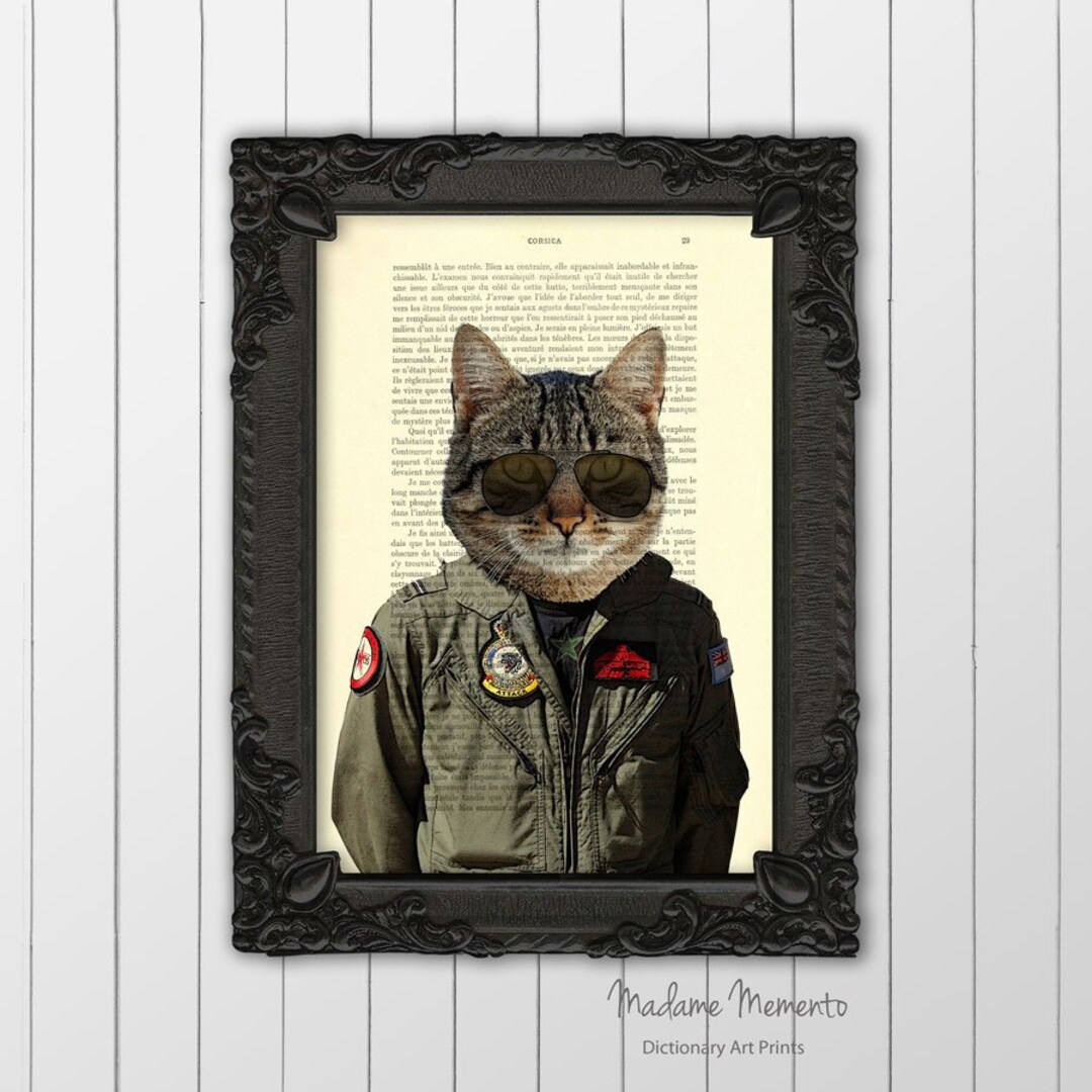 Fighter Jet Pilot Cat Wall Art, Animal Air Force Gifts, Army Decor ...