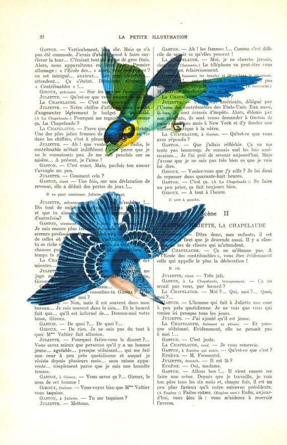 Flying Bird Illustration Vintage