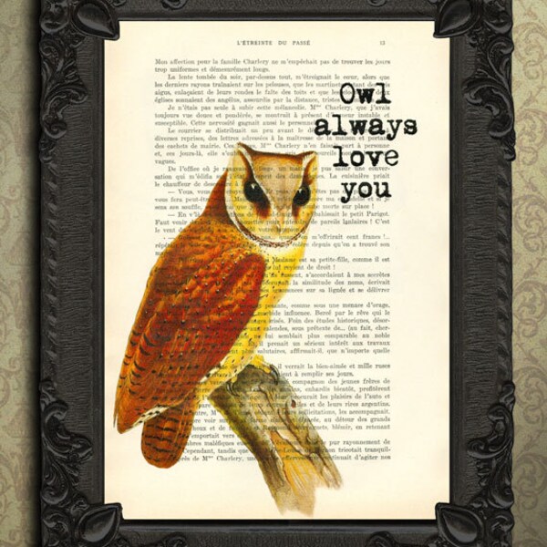 Owl Always Love You Print - Etsy