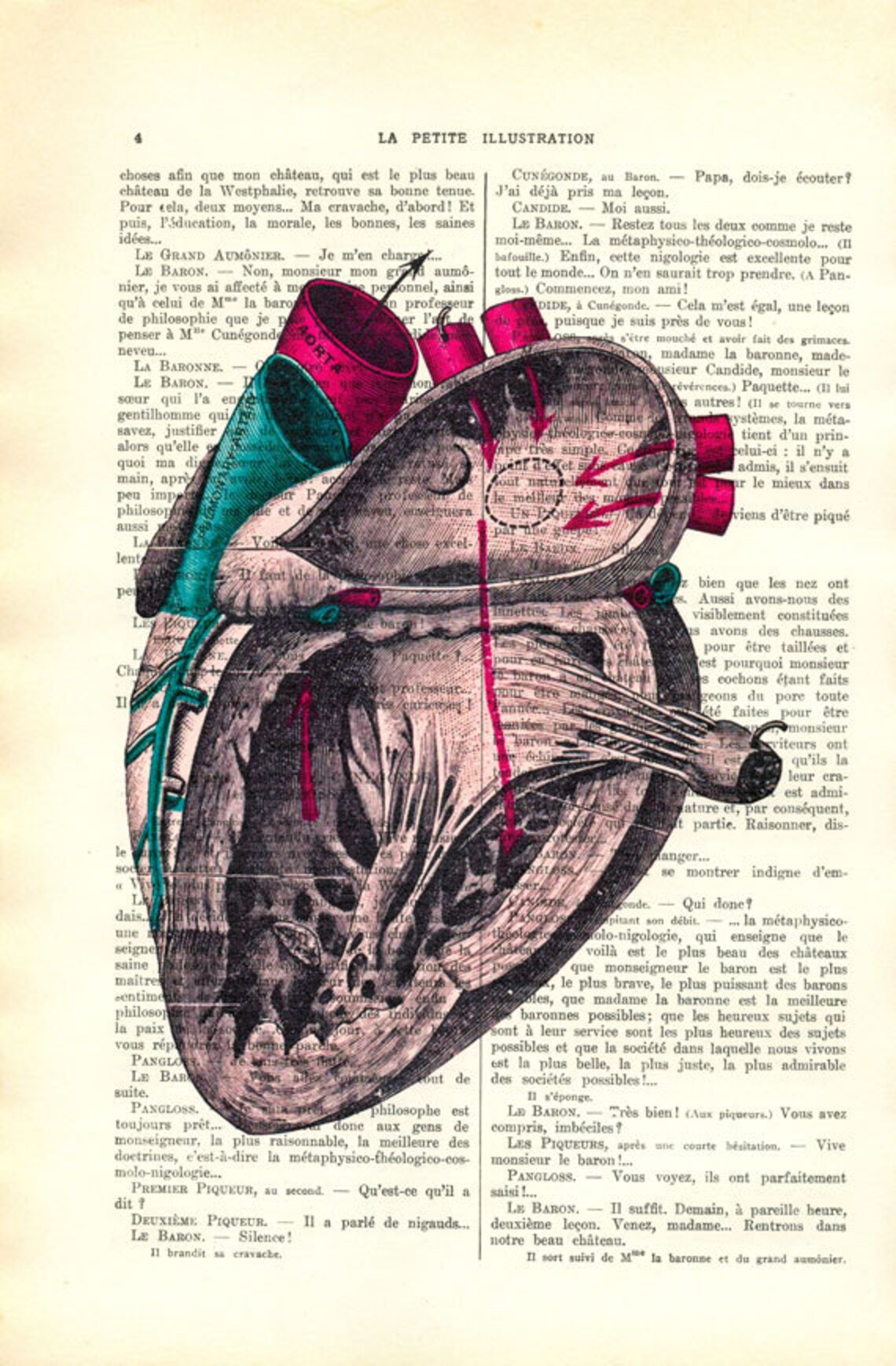 Anatomical Heart Print Anatomical Heart Study Illustration - Etsy