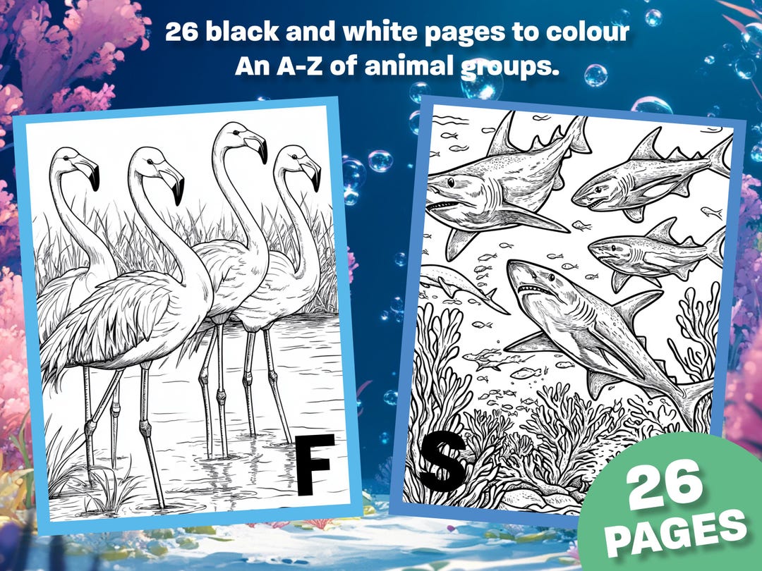 26 Animal Colouring Pages. A Fun Book for All Ages, Featuring Unique ...