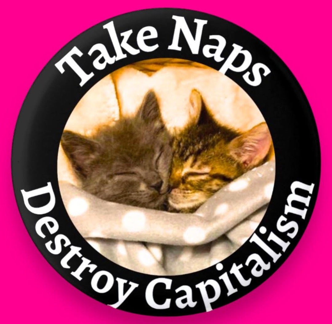 1" Take Naps Destroy Capitalism Button - Etsy
