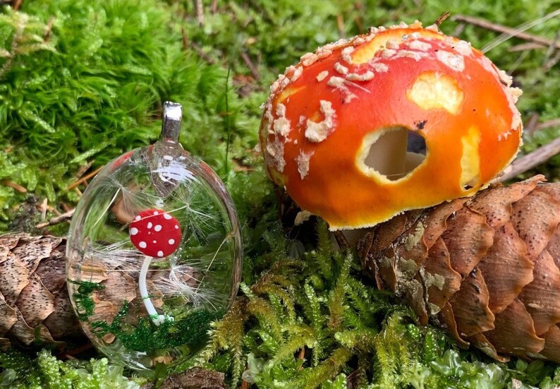 Real Dandelion Toadstool / Real Moss / Mushroom / Unique - Etsy