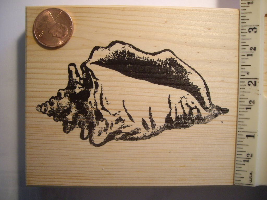 Sea shell conch rubber stamp wood mounted scrapbooking rubber | Etsy