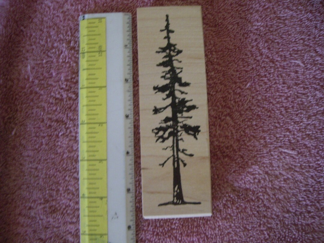 Pine, Sequoia, Redwood Tree Rubber Stamp Wood Mounted 5 1/4th Inches ...
