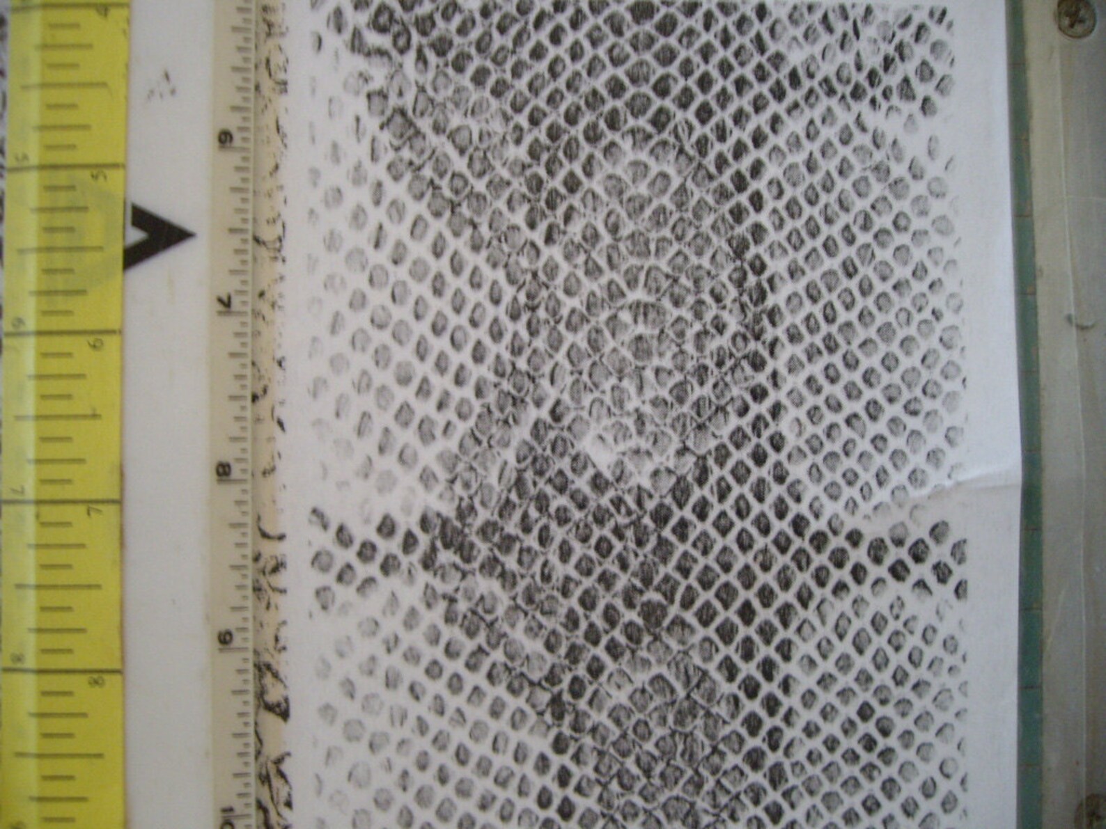 Fish Scales / Snake Skin Unmounted Background Stamp Large - Etsy