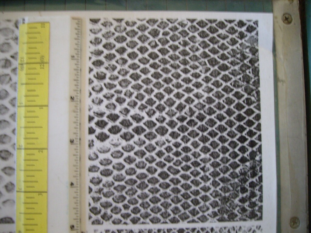 Fish Scales / Snake Skin Unmounted Background Stamp Large - Etsy