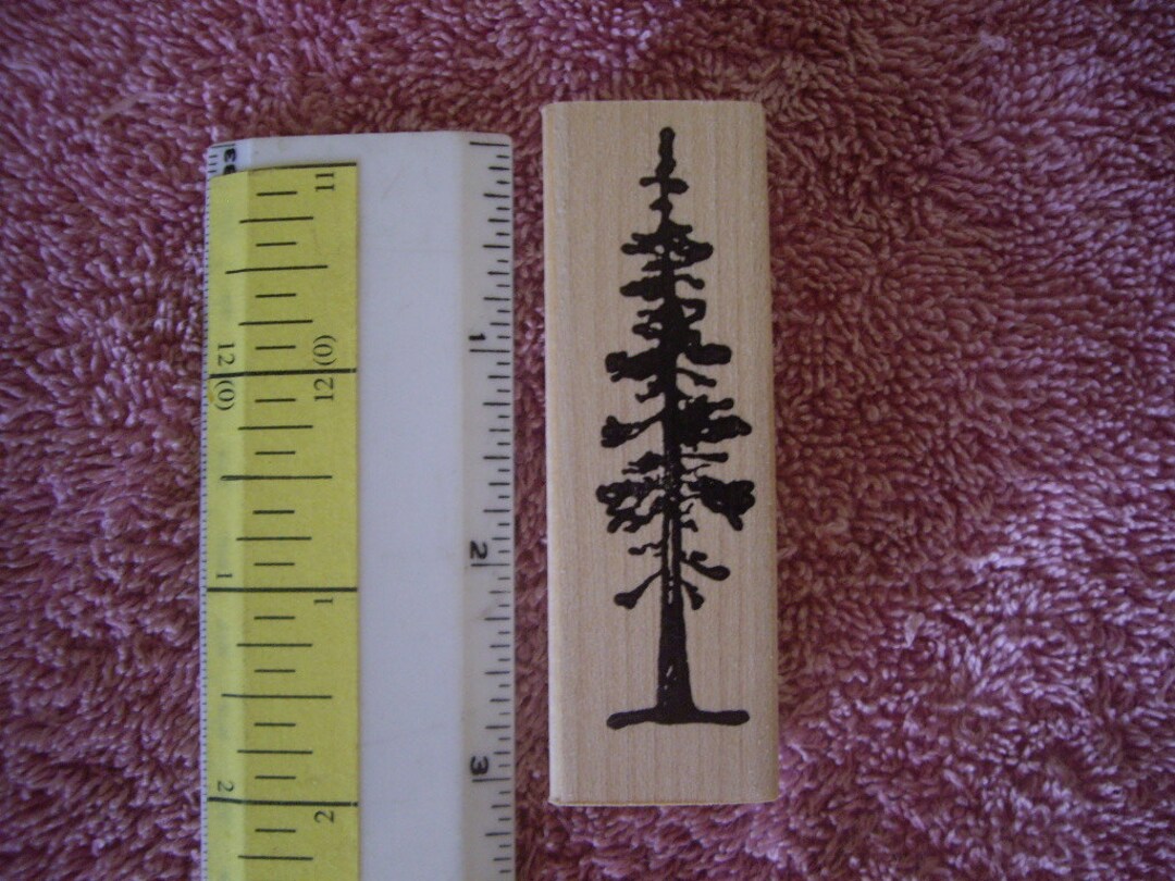 Pine, Sequoia, Redwood Tree Rubber Stamp Unmounted or Wood Mounted 2 1/ ...