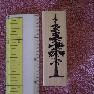 Pine Sequoia Redwood Tree Rubber Stamp Unmounted or Wood - Etsy