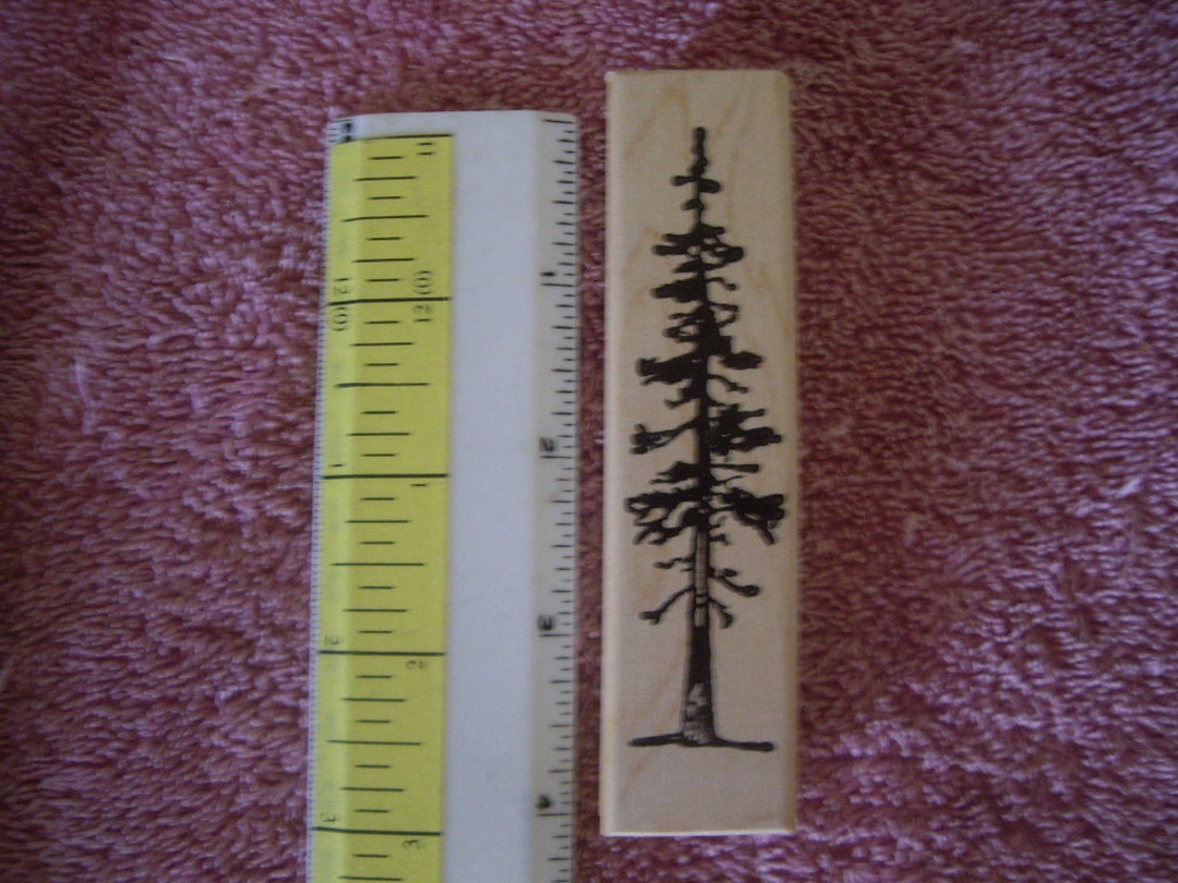 Pine, Sequoia, Redwood Tree Rubber Stamp Wood Mounted 3 1/4th Inches ...