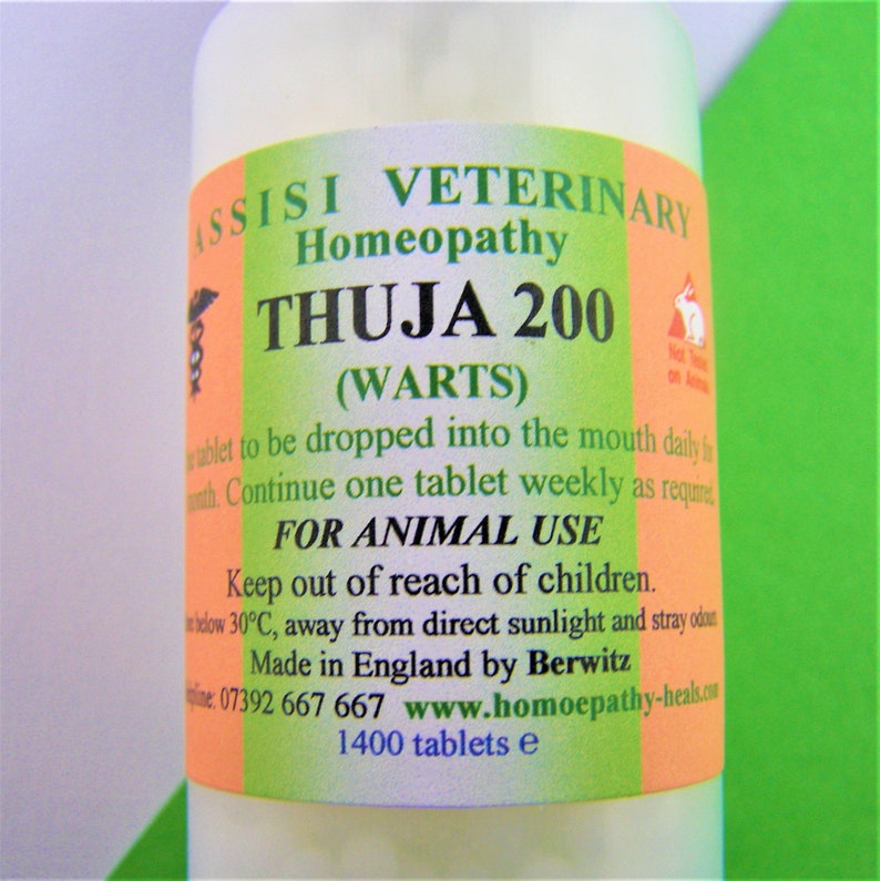 THUJA 200 HOMEOPATHIC TABLETS Remedy for the Removal of Warts - Etsy