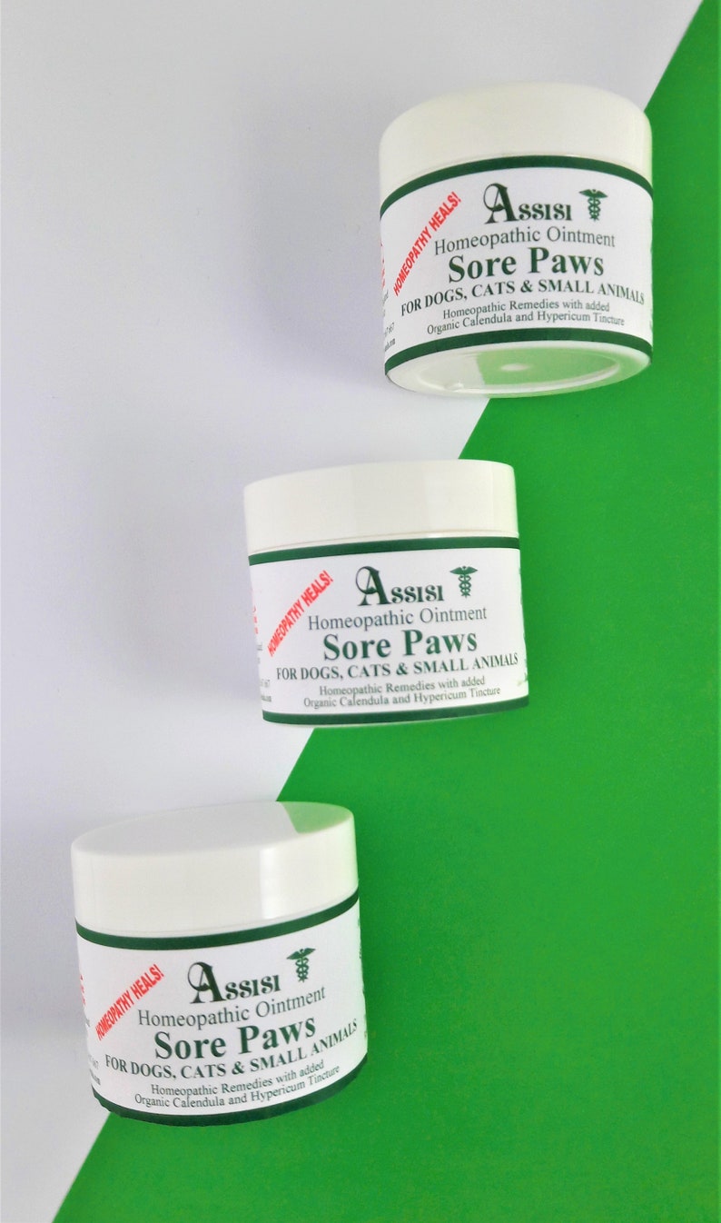 Assisi SORE PAWS Healing Ointment HOMEOPATHY for Dogs | Etsy