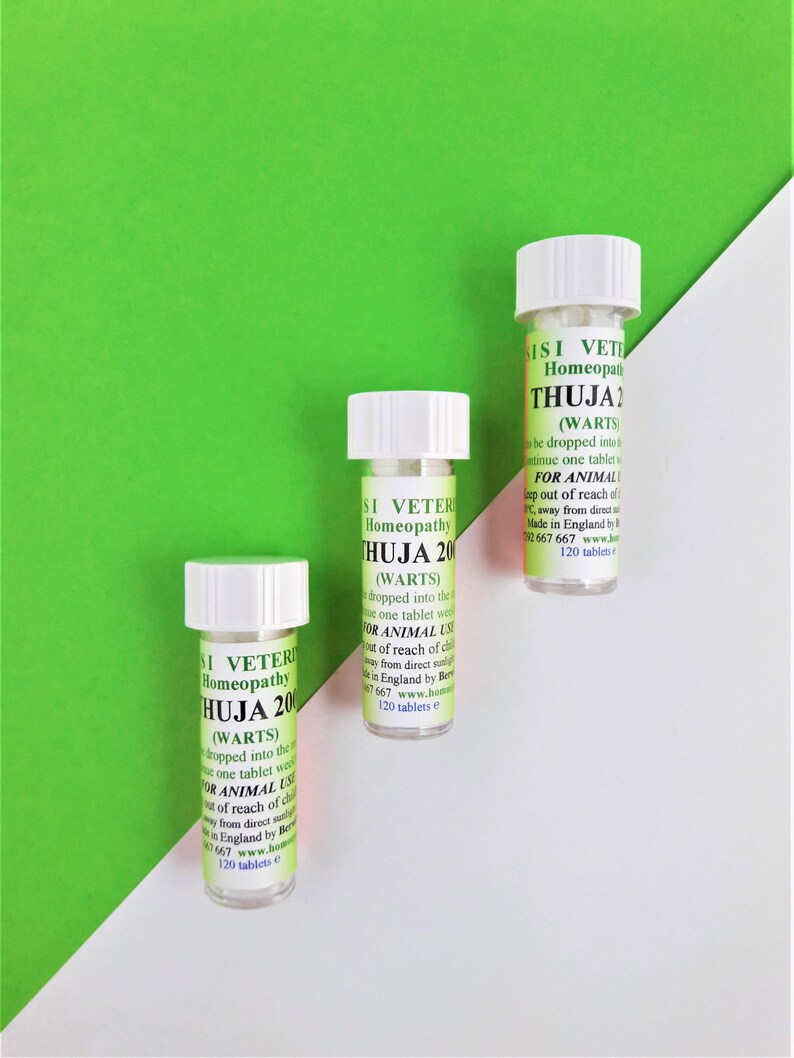 THUJA 200 HOMEOPATHIC TABLETS Remedy for the Removal of Warts | Etsy