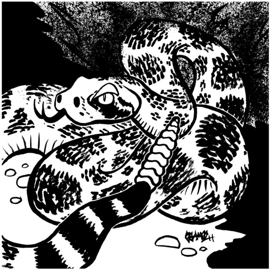 Western Diamondback Rattlesnake, Original Ink Drawing - Etsy