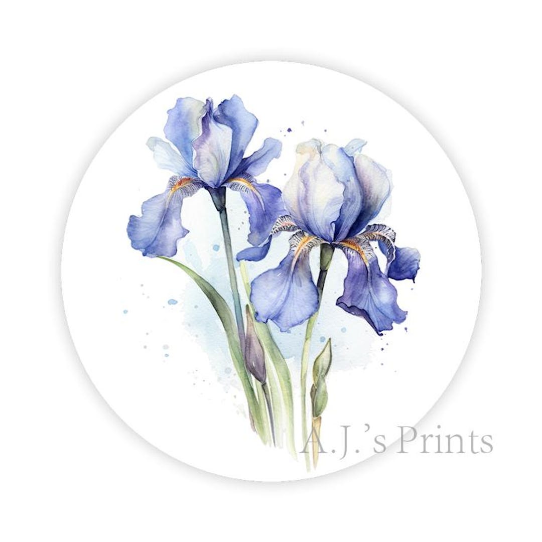 Blue Iris Flower Stickers • Gift Labels • Glossy or Matte Stickers ...