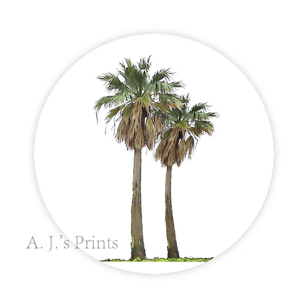 Tropical Palm Tree Stickers: Glossy or Matte Gift Labels - Etsy
