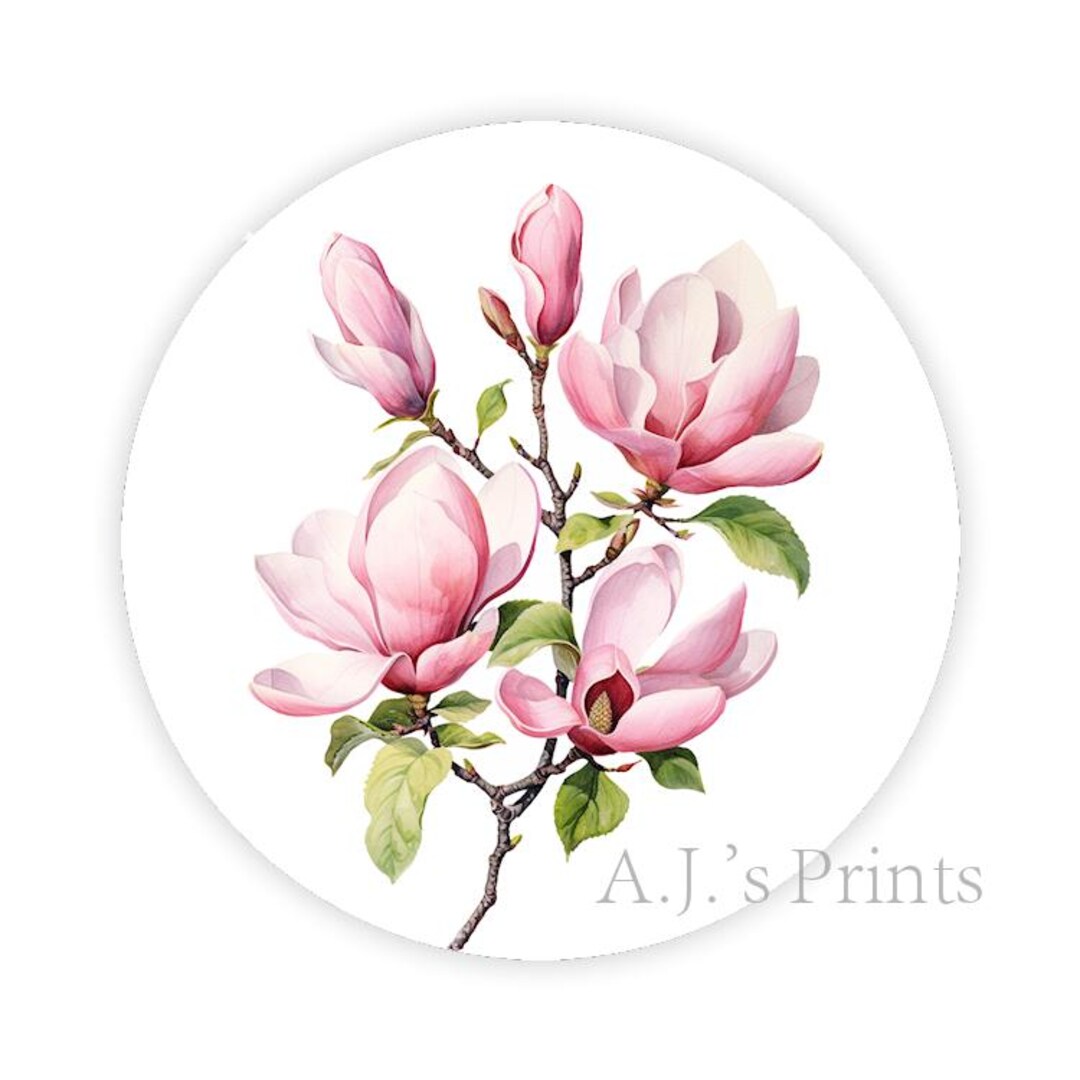 Pink Magnolia Stickers • Gift Labels • Glossy or Matte Stickers ...