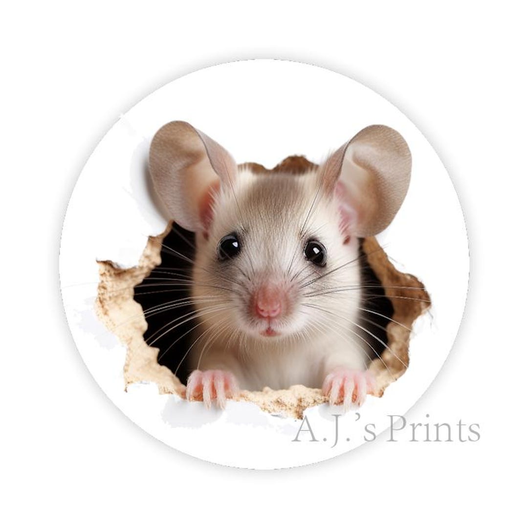 Mouse in the House Stickers • Gift Labels • Glossy or Matte Stickers ...