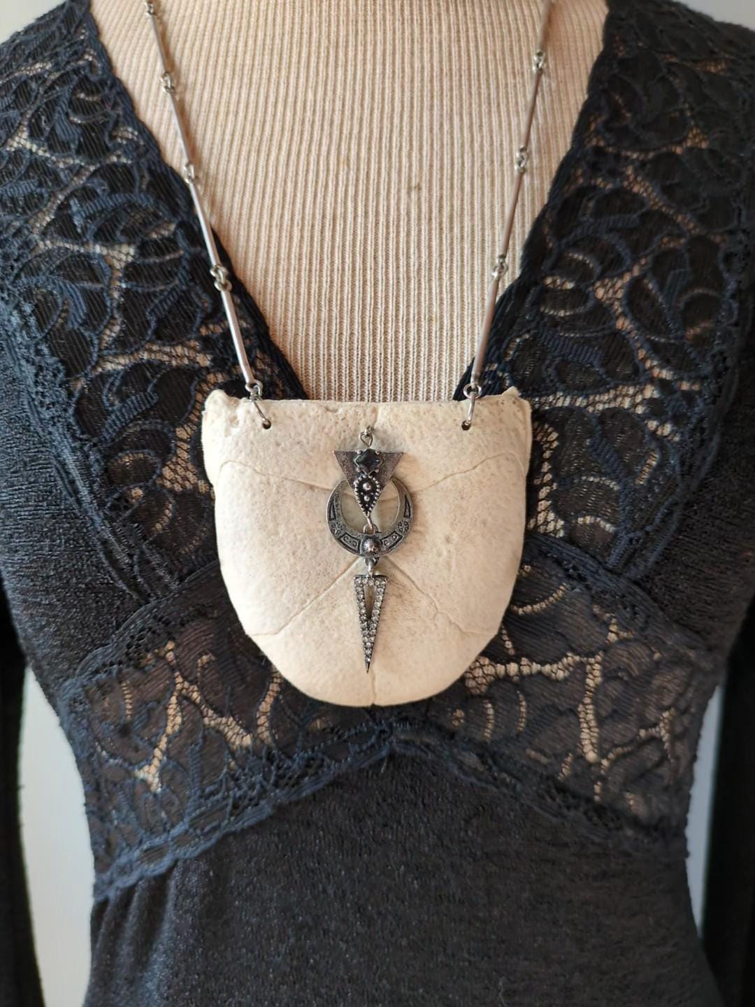 Handmade Found Forest Floor Turtle Shell Plastron Oddity Chest Plate ...