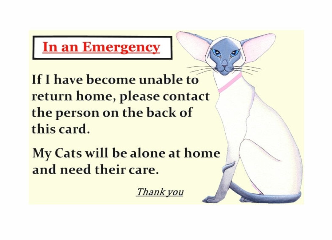 Siamese Cat Home Alone Alert Emergency Cards X2 - Etsy