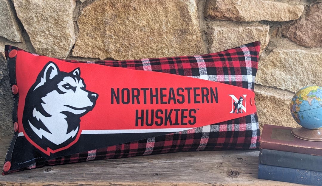 Pennant Pillow. Northeastern University Vintage Pennant. School Pennant ...