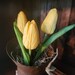 Yellow Tulips in a Small Rusty Pitcher - Etsy