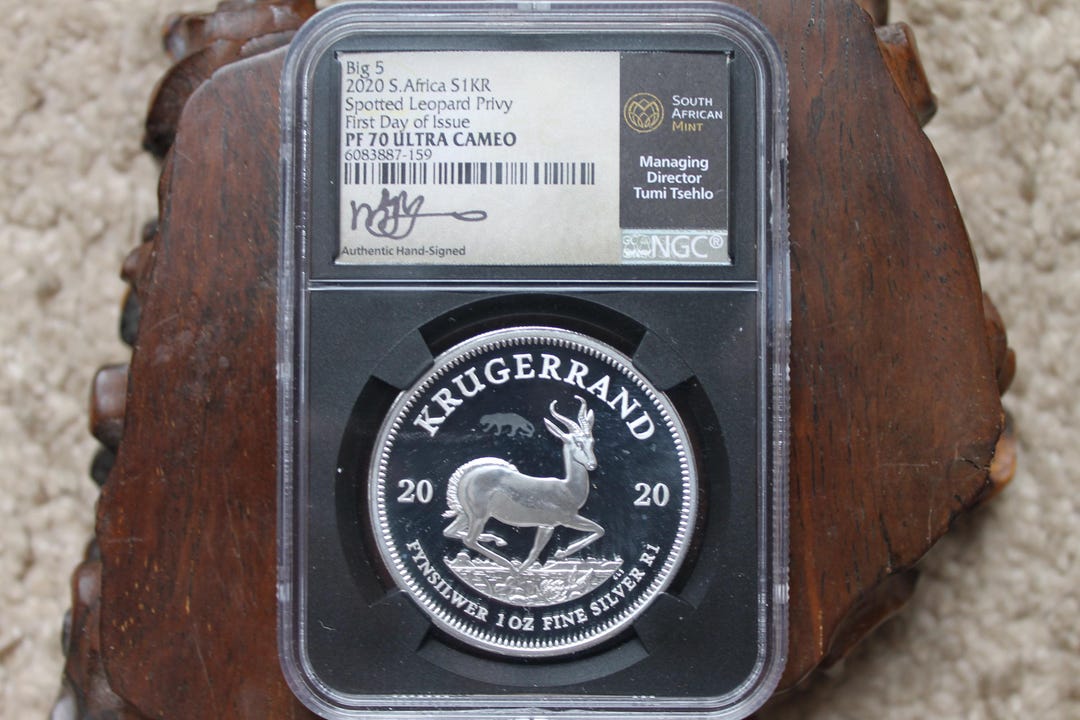 Rare 2020 South Africa Krugerrand First Big 5 Series Spotted Leopard ...