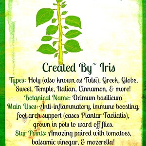 The Basil Book - E Book PDF - Instant Download - Digital Print ...