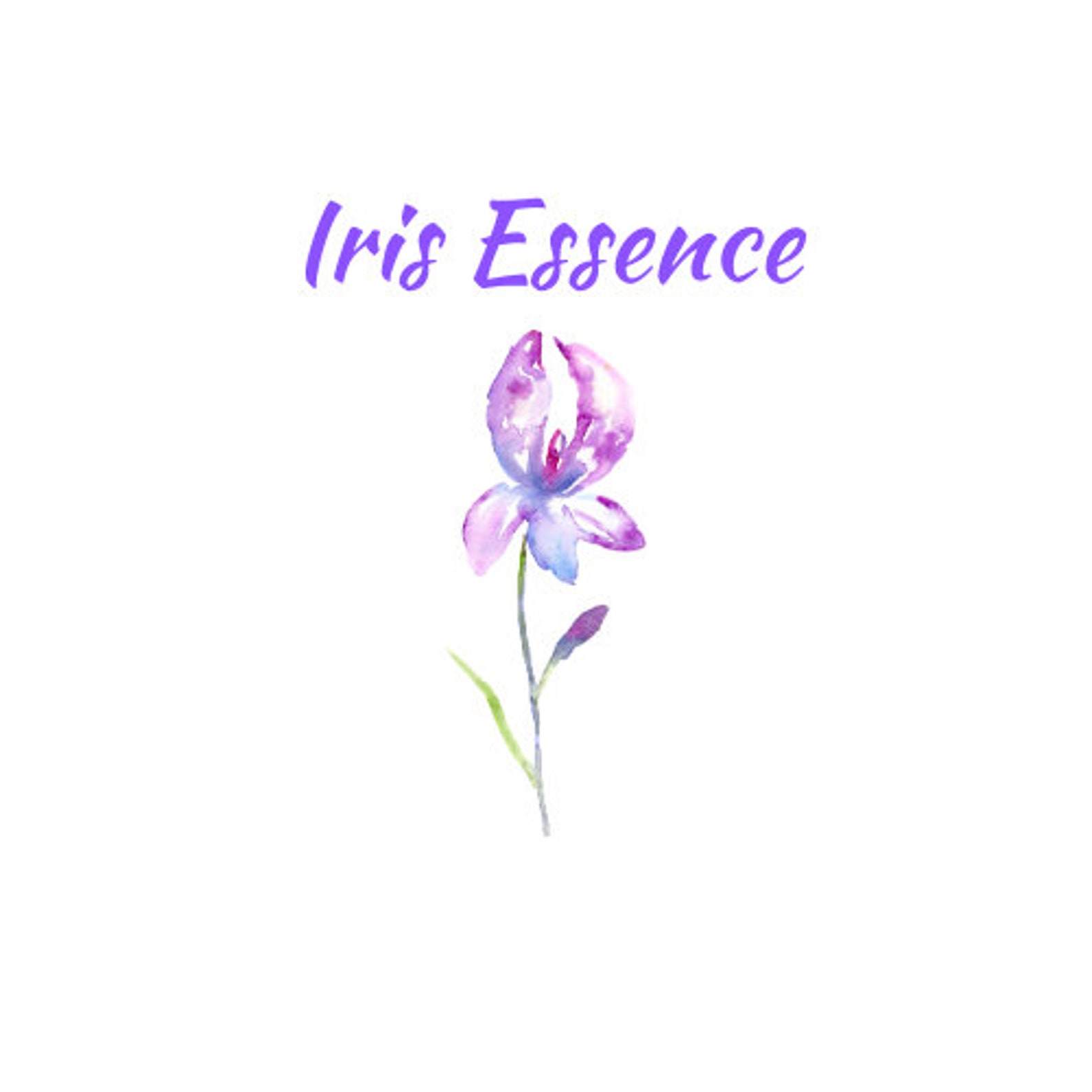 Iris Essence Natural Perfume Floral Oil 5 Ml Roll on Orris Root ...