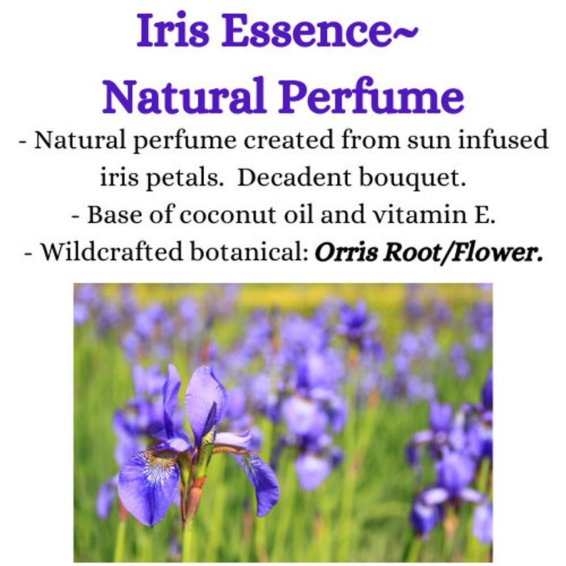 Iris Essence - Natural Perfume - Floral Oil - 5 Ml Roll on - Orris Root ...