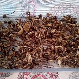 Iris Essence Natural Perfume Floral Oil 5 Ml Roll on Orris Root ...