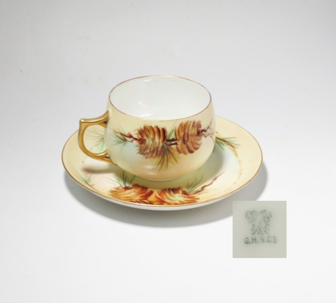 J C Bavaria G H B Co Acorn Tea Cup and Saucer Set J&C Free Shipping - Etsy