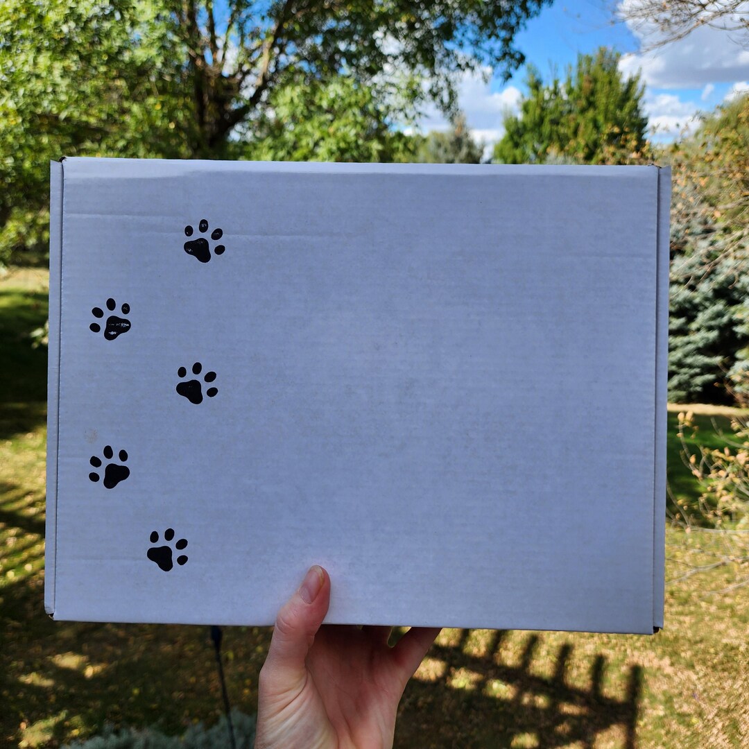 Catnip Gift Box: Handmade Toys, Quilted Play Mat & Catnip Sprinkle - Etsy