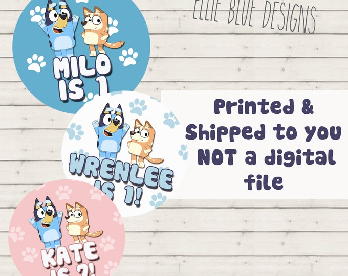 Bluey Inspired Themed Party Favors, Blue Inspired Birthday, Blue ...