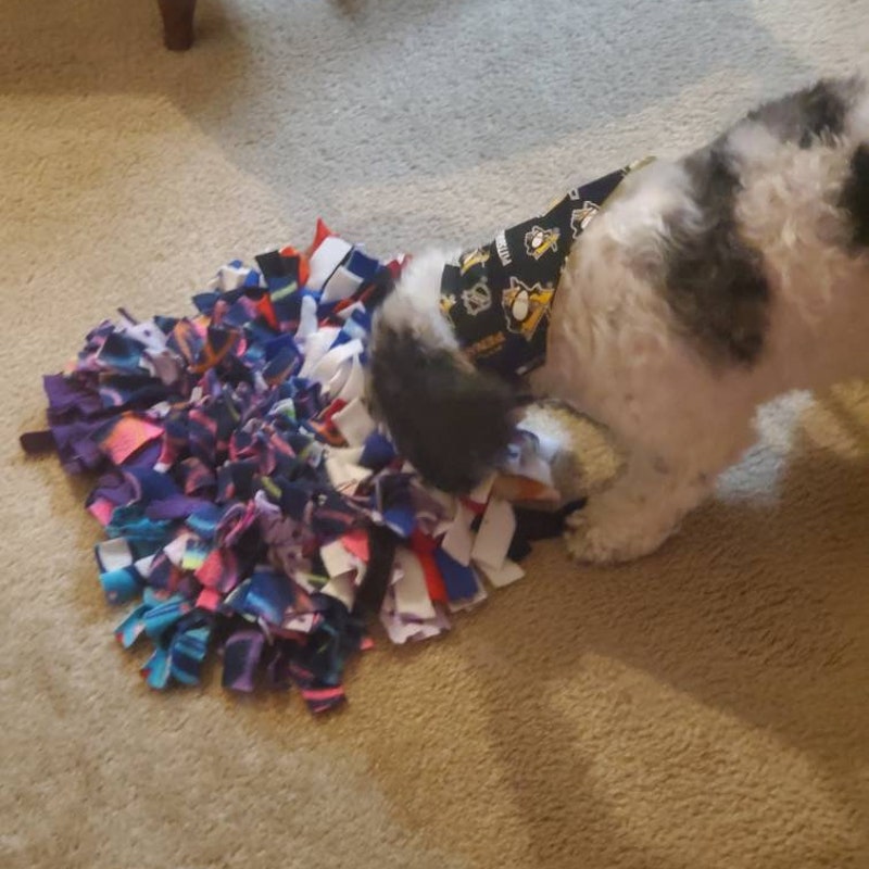Snuffle Mat for Dogs - Etsy