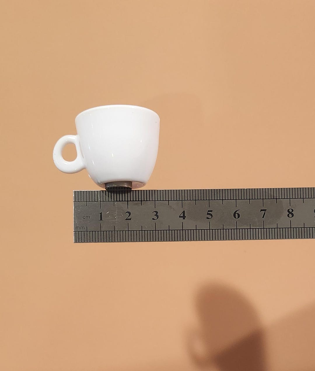 Magnetic Teacup Jumping Spider Hide - Etsy