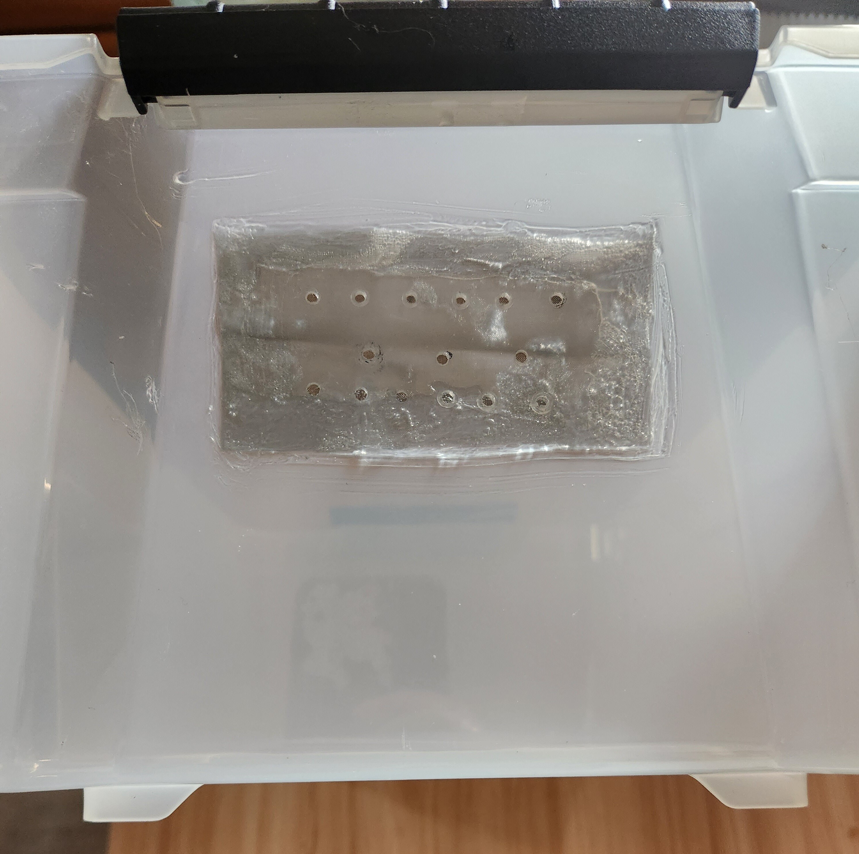 Isopod Enclosure - Etsy