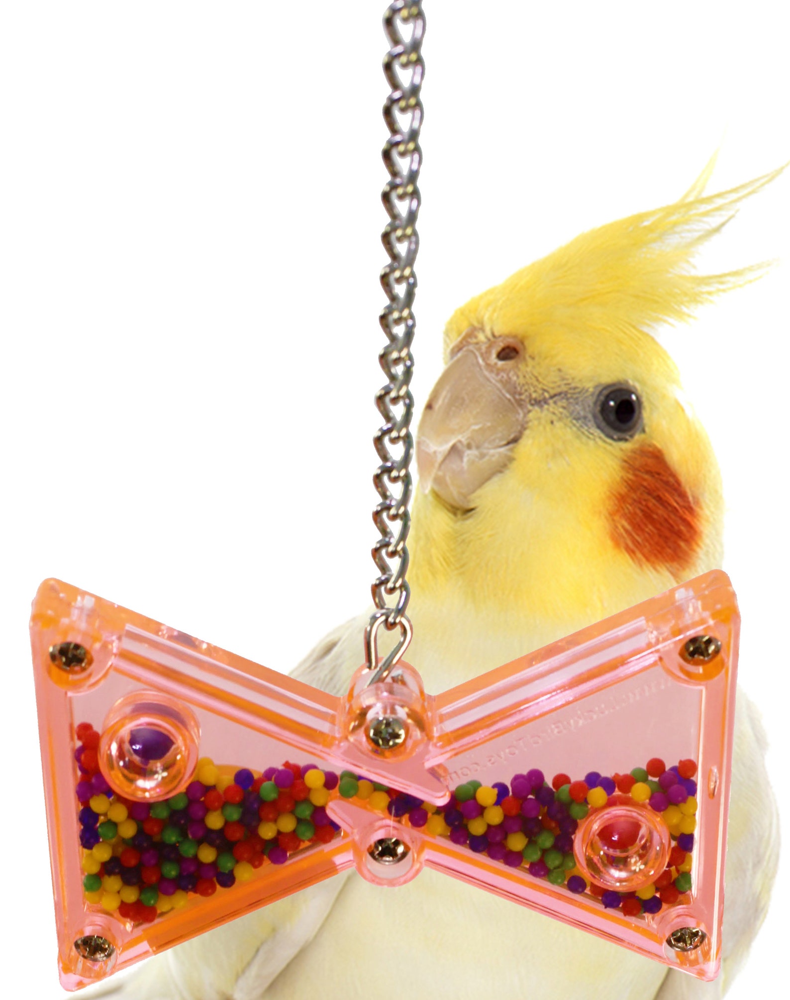 0008 Small Time Machine. - Etsy