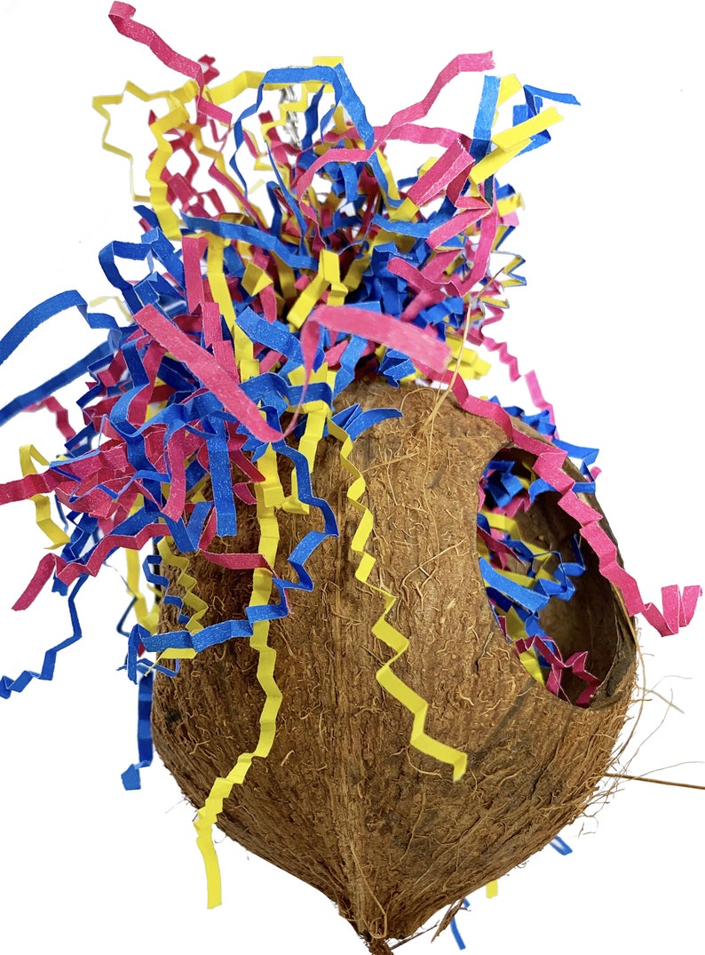 3195 Party Coco Bird Toy - Etsy
