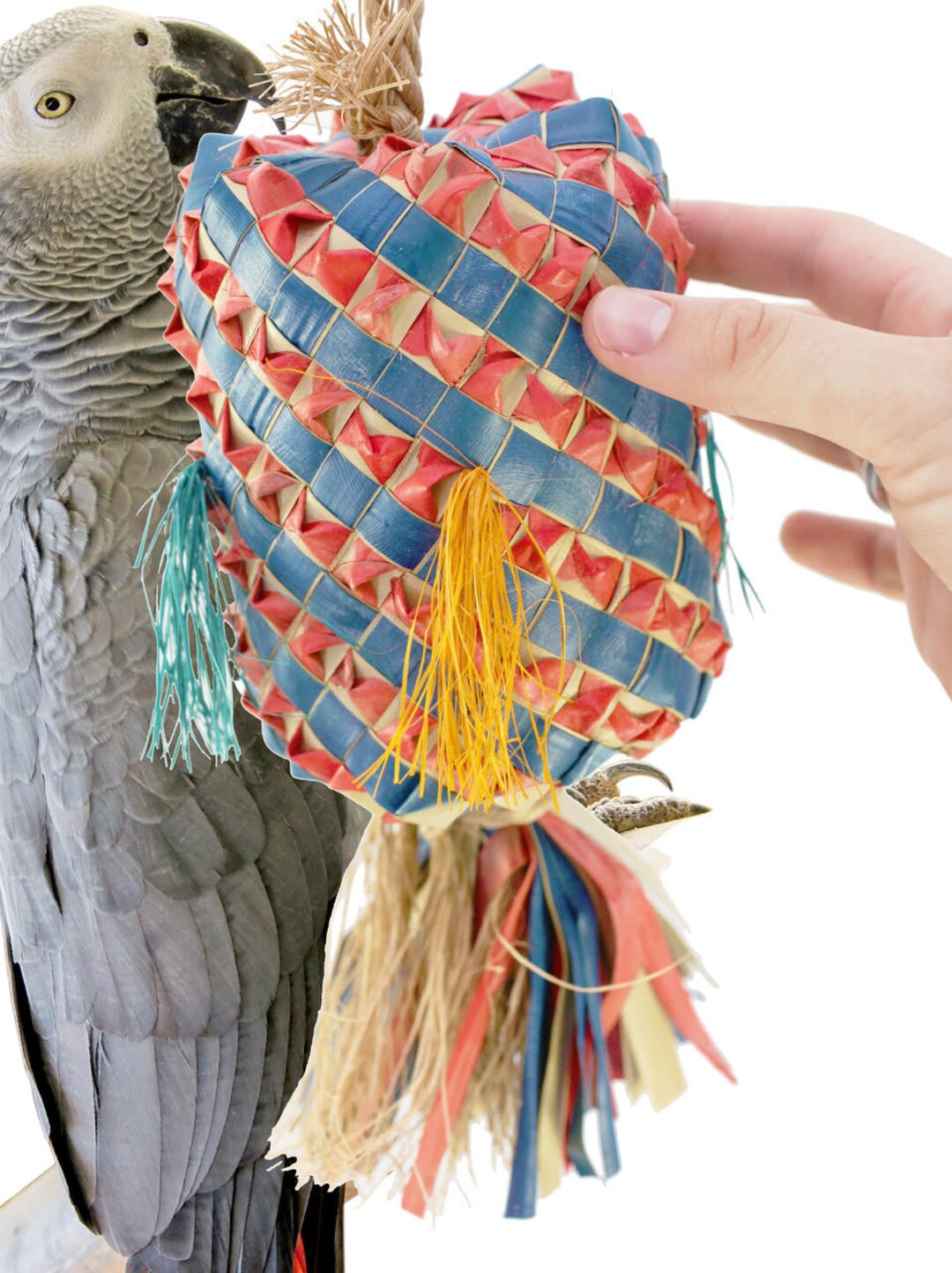 03403 Large Princess Pinata - Etsy